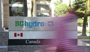 Case study: BC Hydro powers improving supplier relationships - The ...