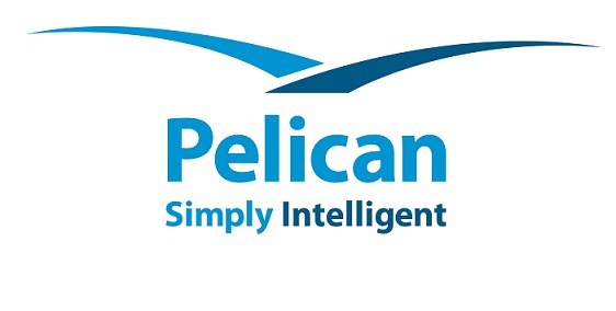 Pelican launches ‘plug-and-play’ open banking API tool - The Global ...